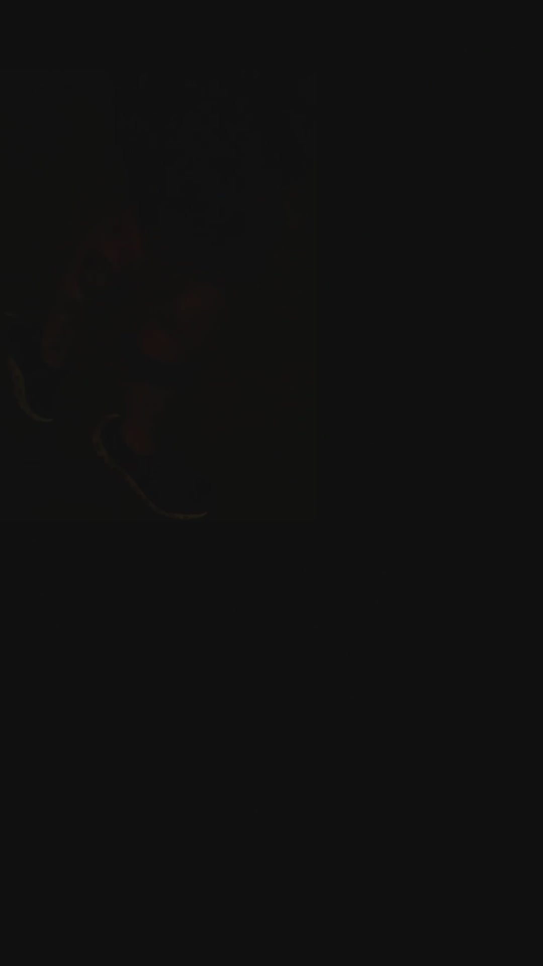 Land Cruiser Door Lights – Operation Mod Out